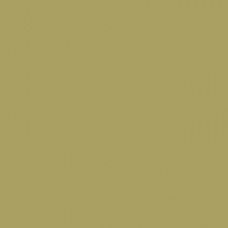 NCS S 3030 G80Y - Avace Colours France