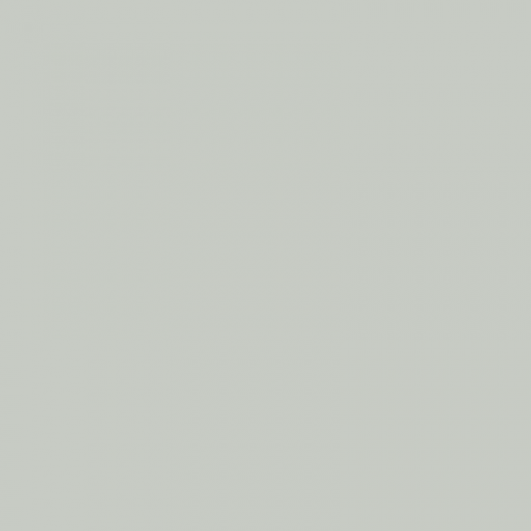 RAL Classic 9000 - Avace Colours France